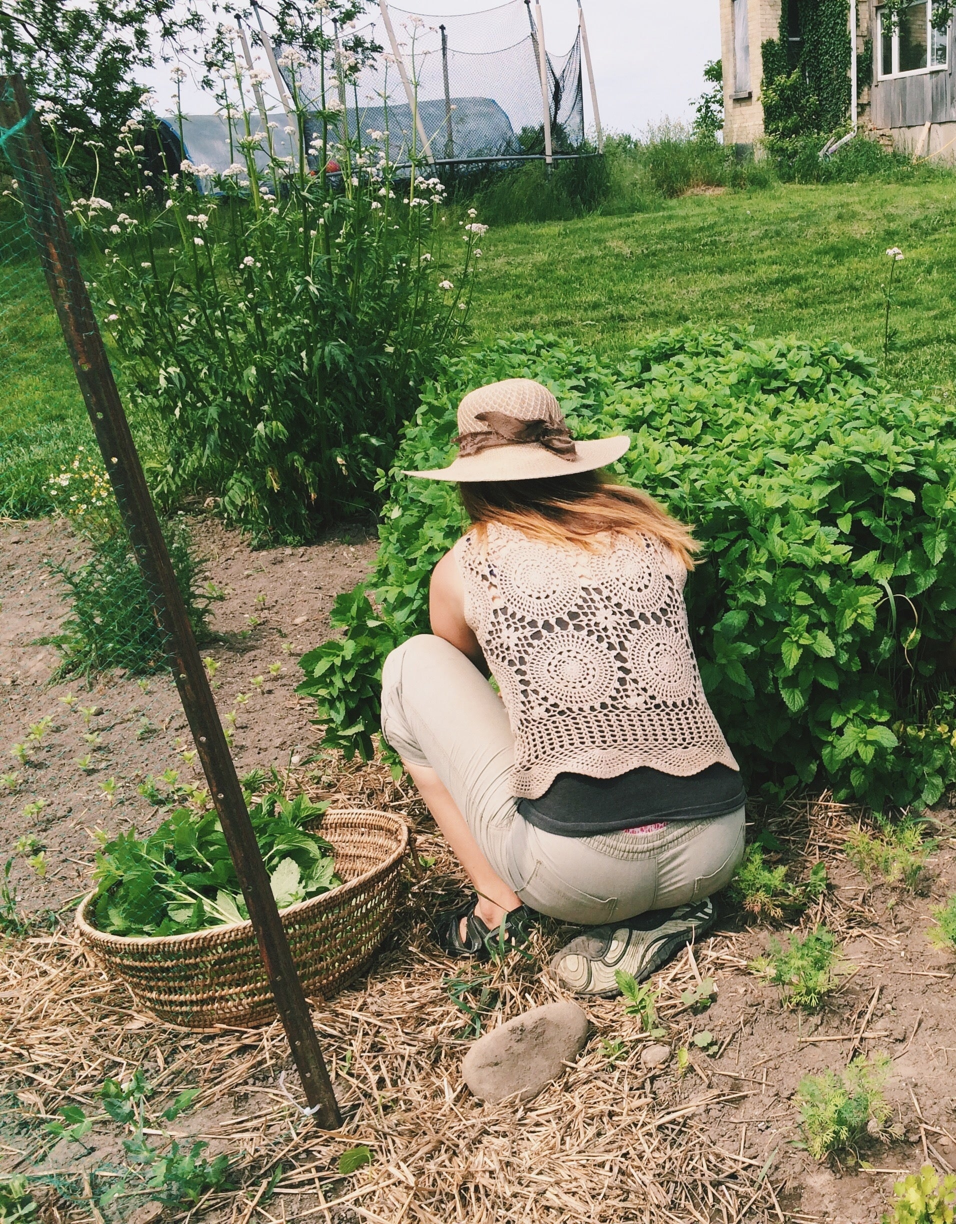 Rebel Roots Herb Farm